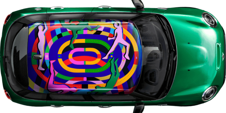 Get Customized: Limited Edition Mini Cooper Roof Art - Braman MINI Palm ...